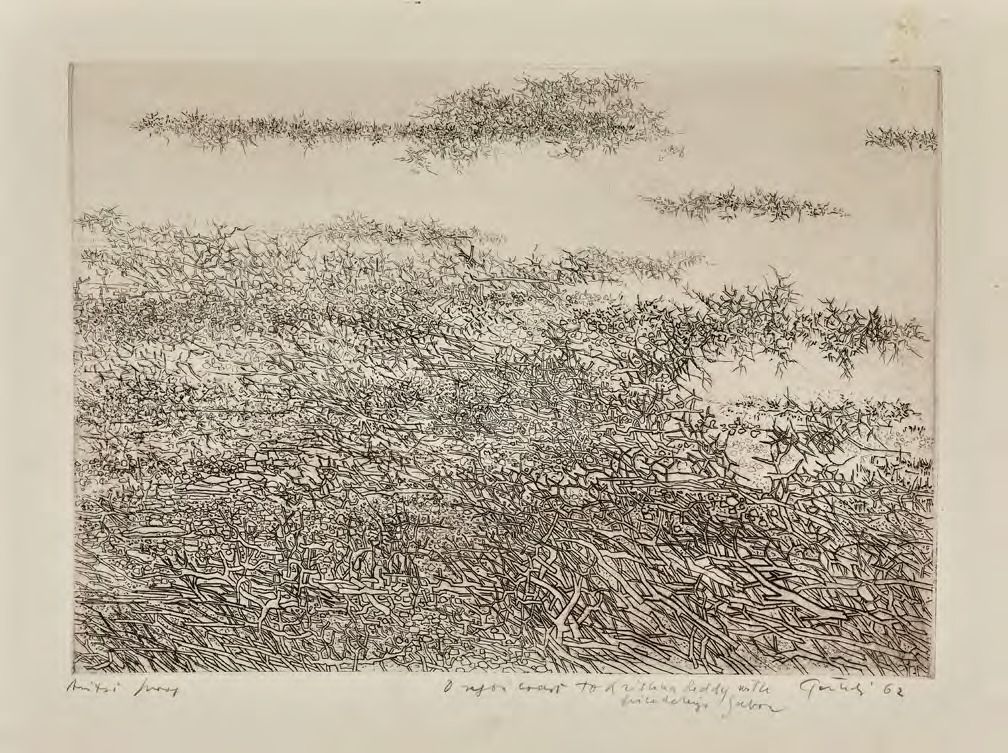 Gabor Peterdi's Art For Sale, Exhibitions & Biography | Ocula Artist