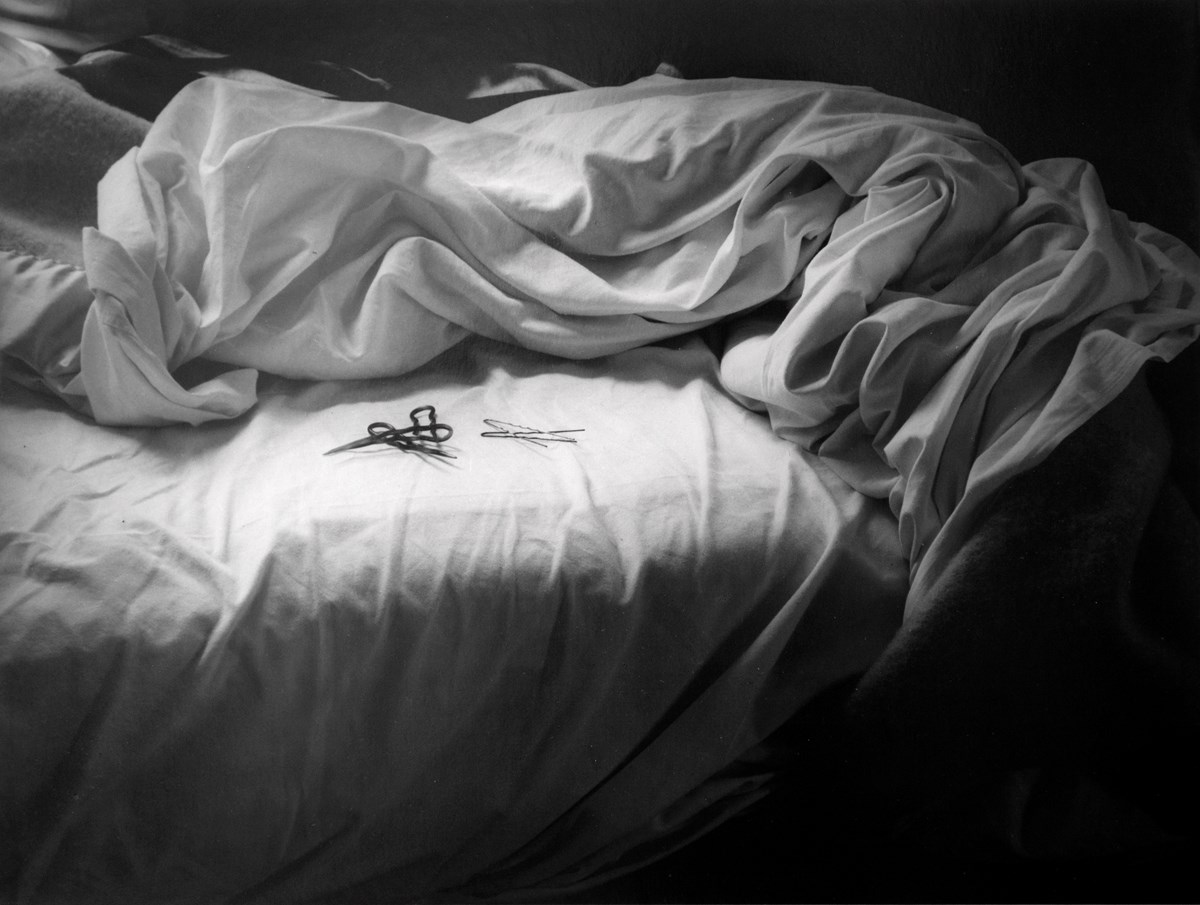 Imogen Cunningham Biography, Artworks & Exhibitions | Ocula Artist