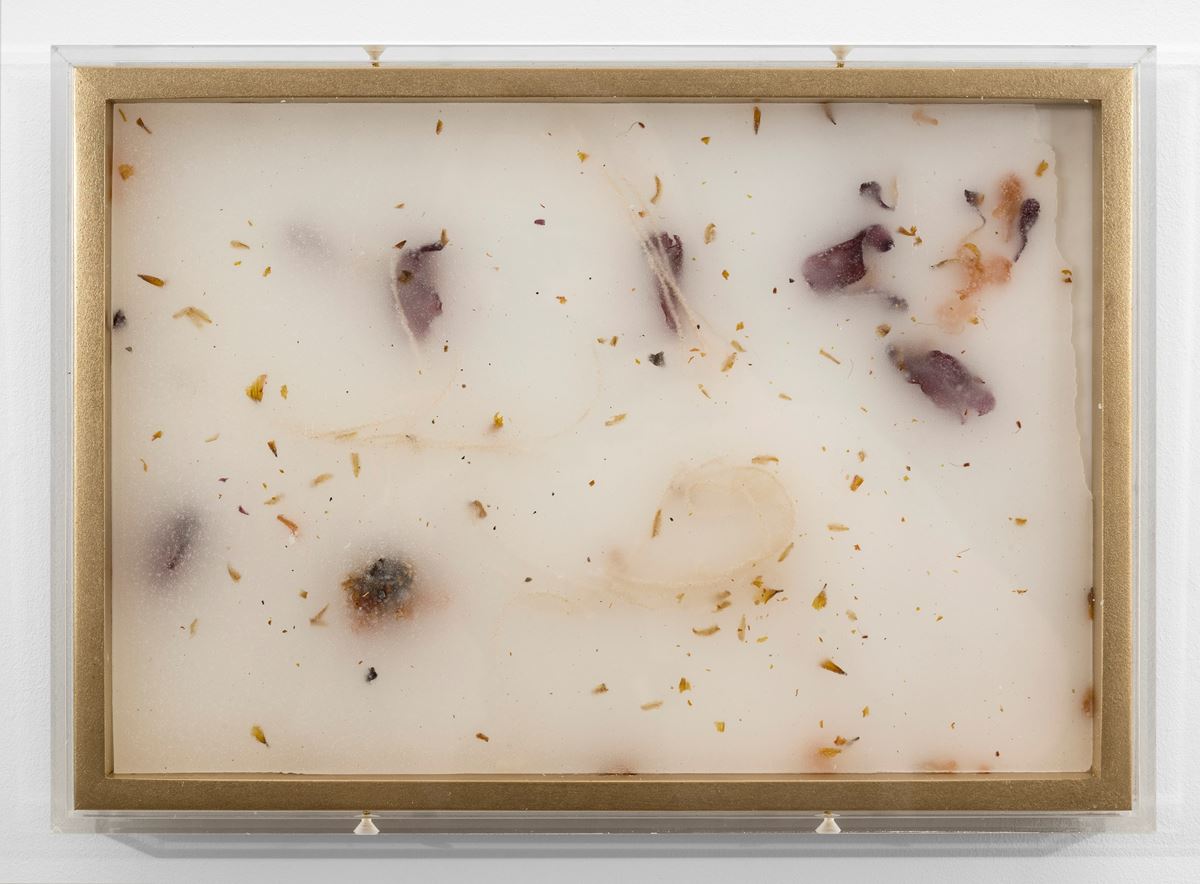 Marisa Merz Biography, Artworks & Exhibitions | Ocula Artist