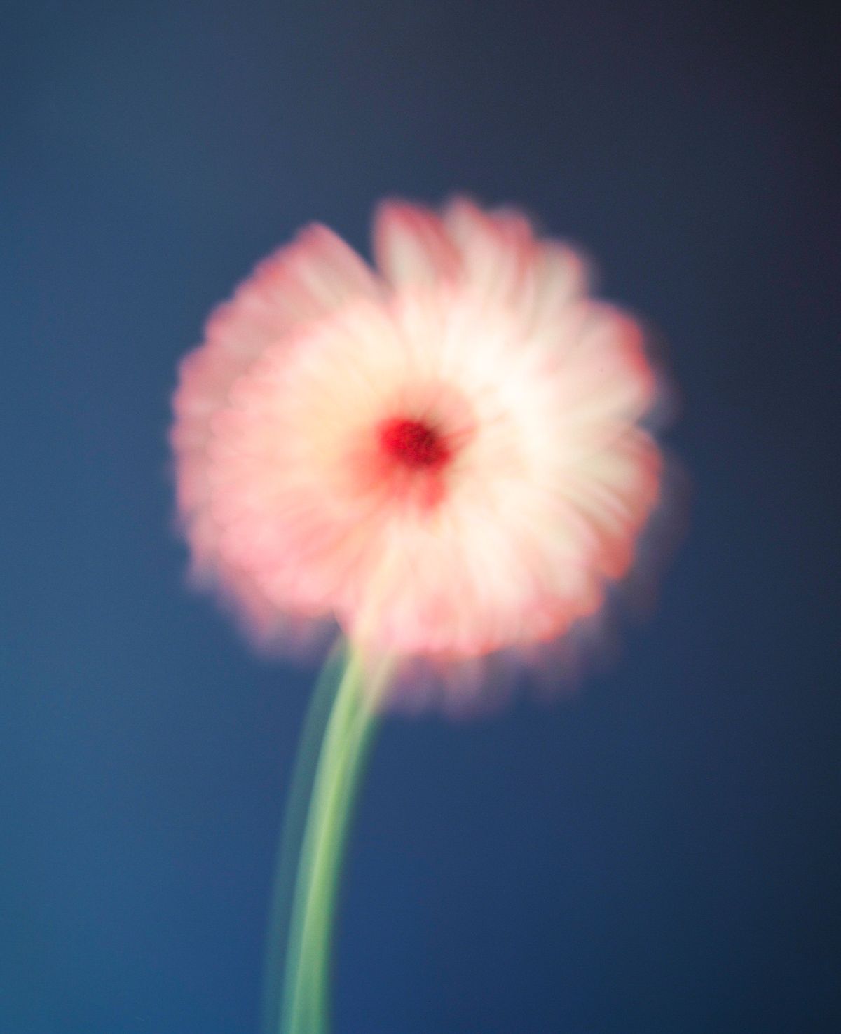 Paula Codoñer Biography, Artworks & Exhibitions | Ocula Artist