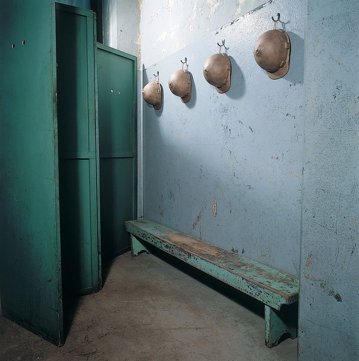 Dorothy Cross' Art For Sale, Exhibitions & Biography | Ocula Artist