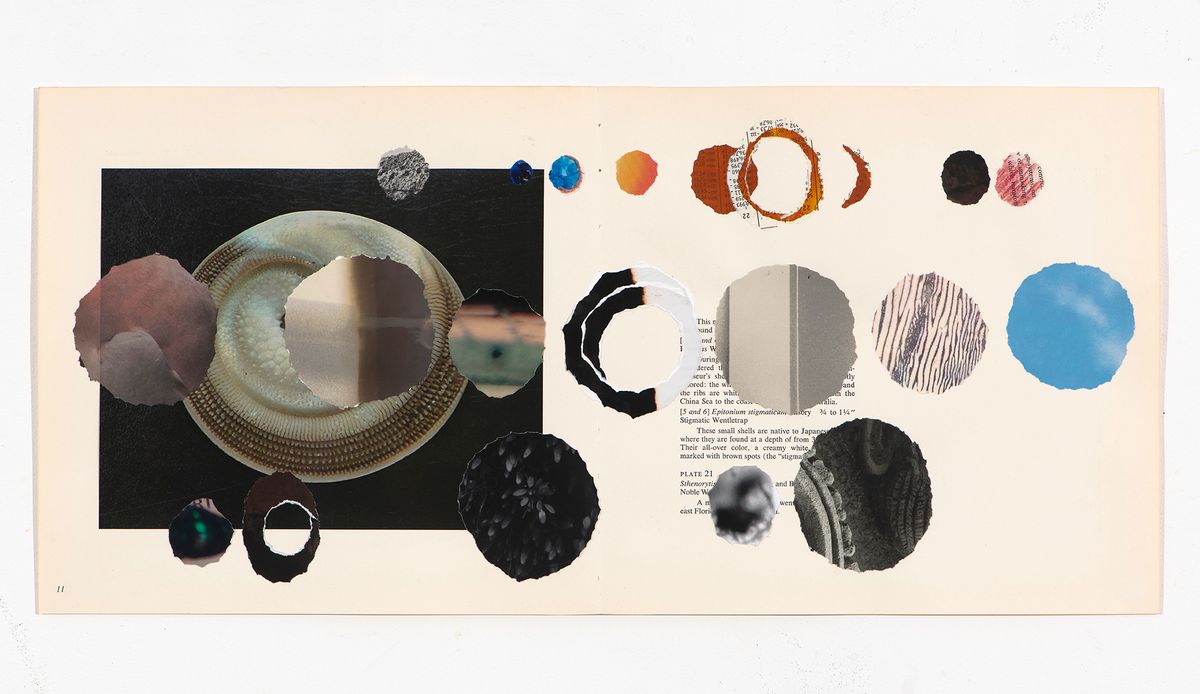 Featherweight (02), 2023 by Simryn Gill | Ocula