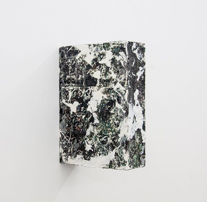 Joshua Petherick Biography, Artworks & Exhibitions | Ocula Artist