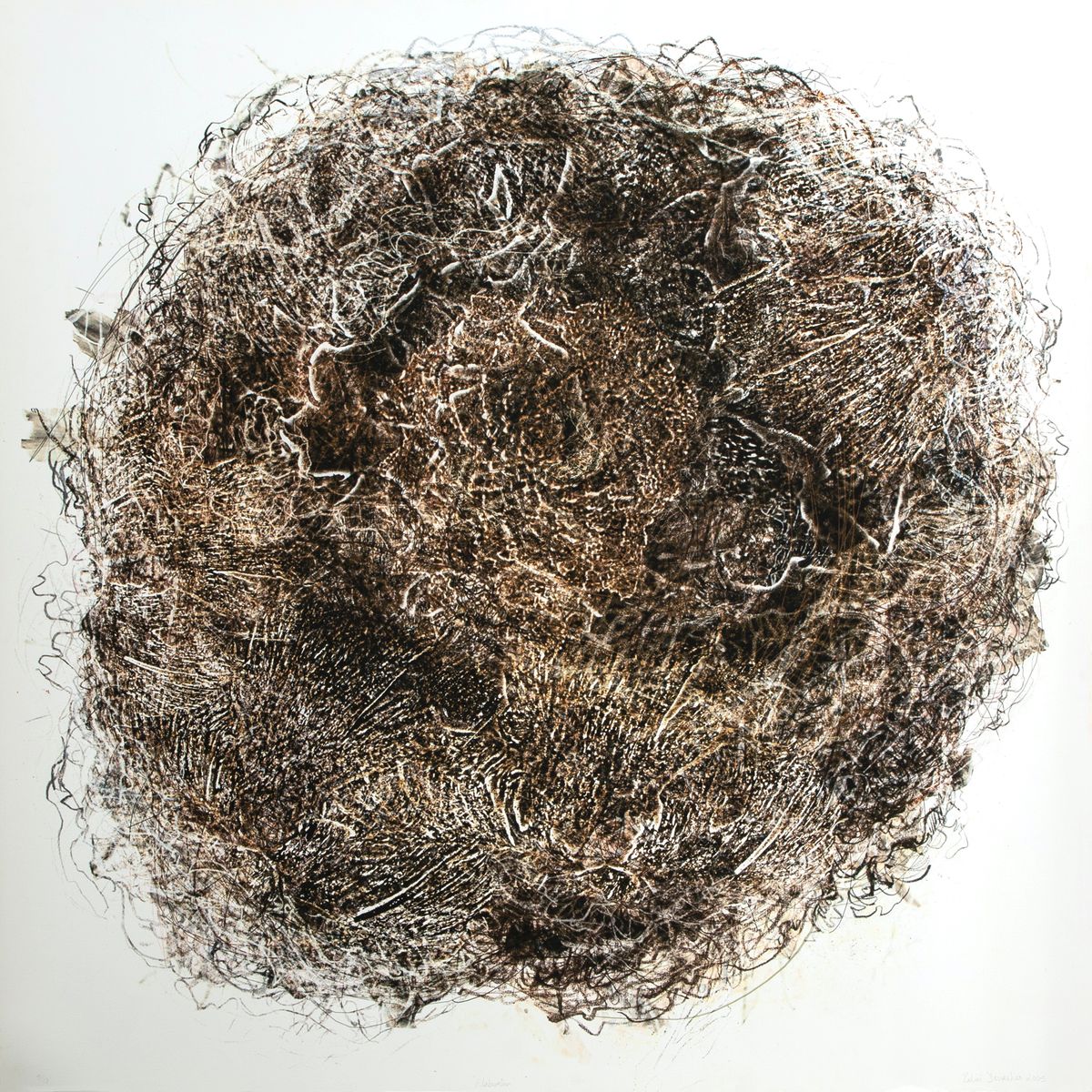 Rohini Devasher's Art For Sale, Exhibitions & Biography | Ocula Artist