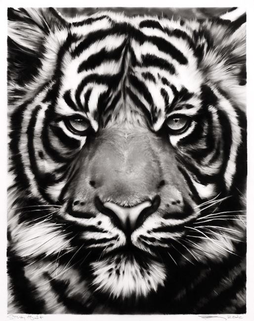 Robert Longo | Artist Profile, Exhibitions & Artworks | Ocula