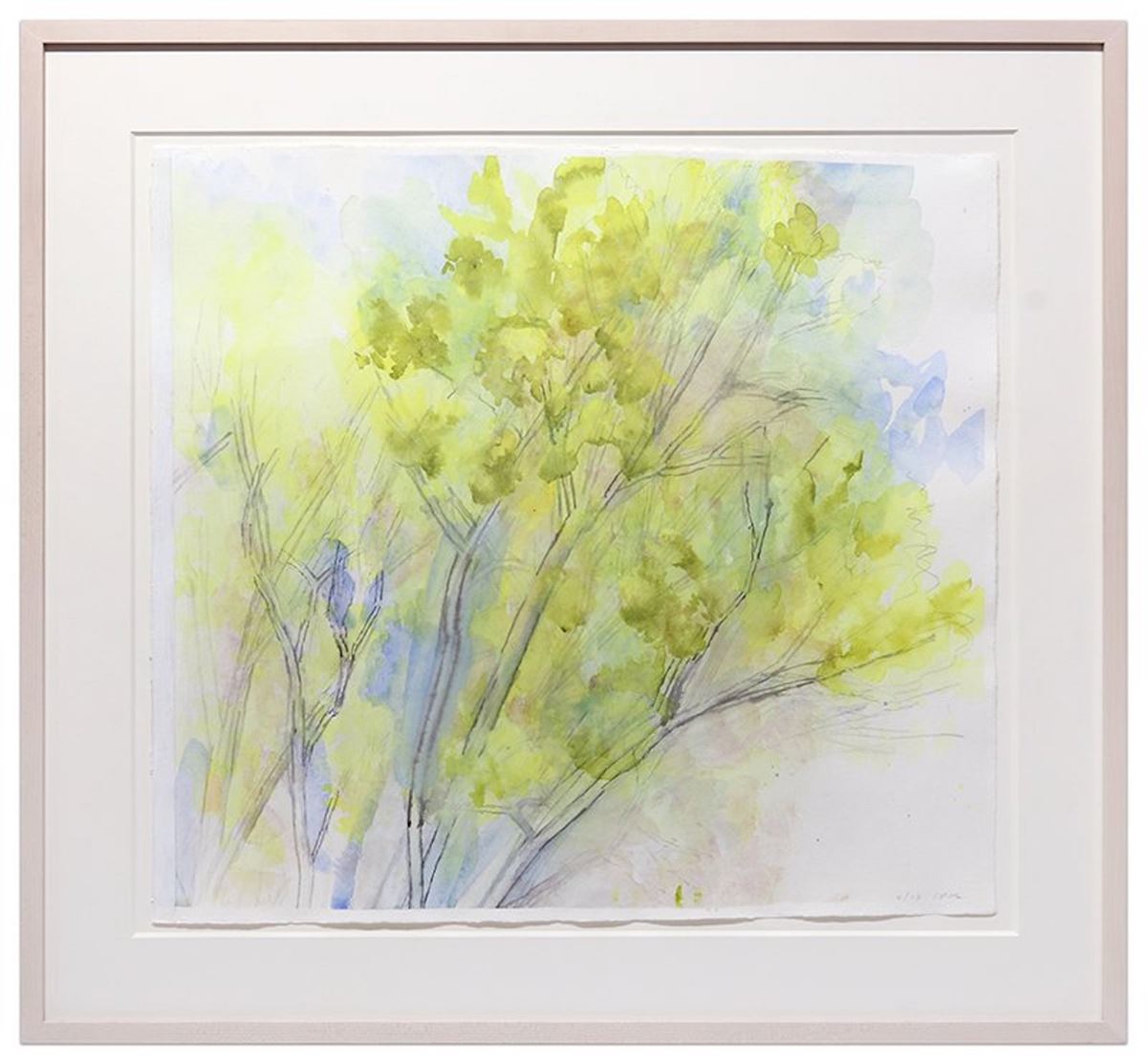 Sylvia Plimack Mangold Biography, Artworks & Exhibitions | Ocula Artist