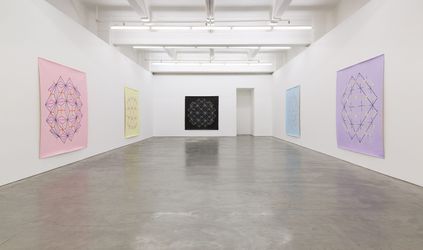 Kerrie Poliness, 'Non-Objective Wildflowers' at Anna Schwartz Gallery ...