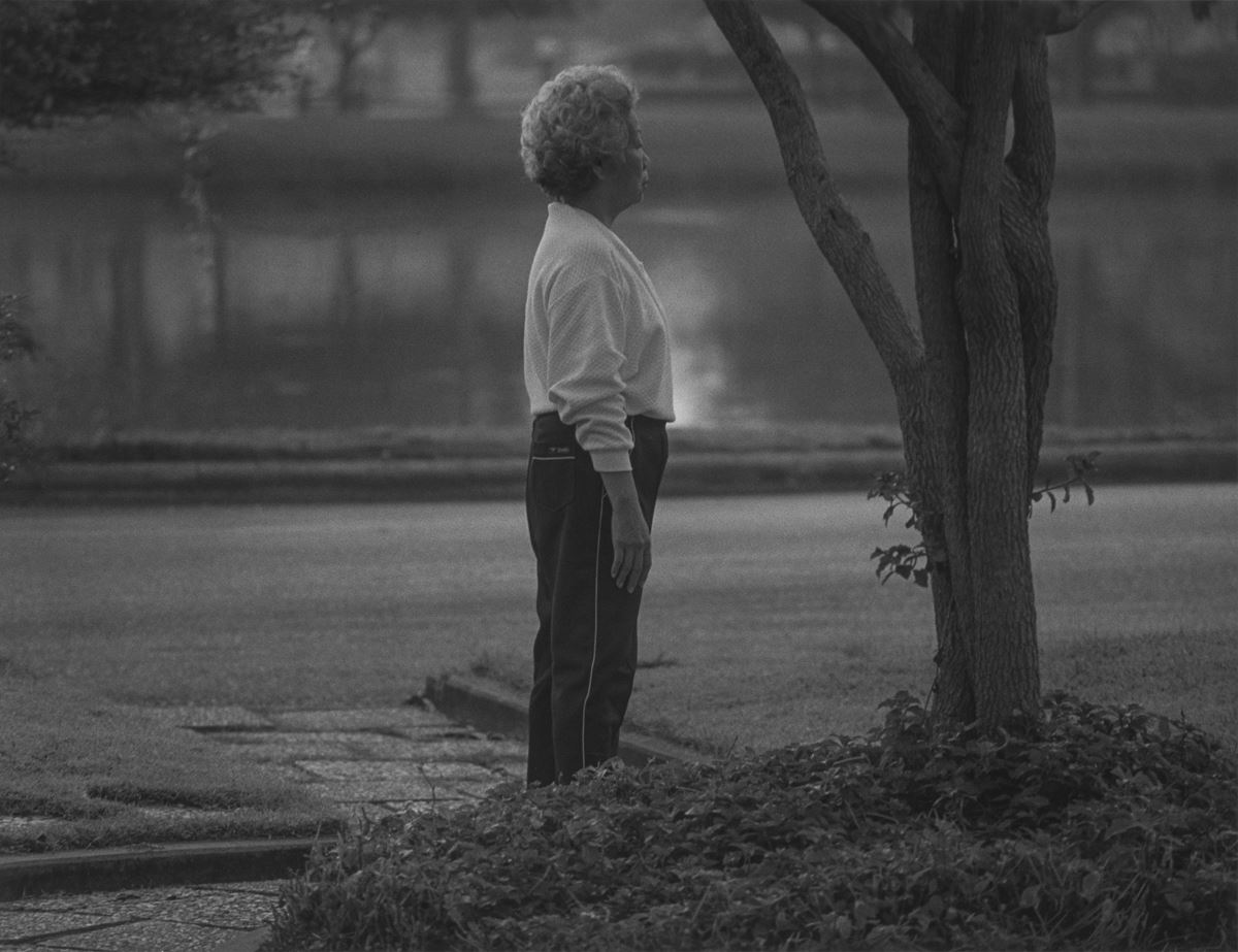 Roy Decarava's Art For Sale, Exhibitions & Biography | Ocula Artist