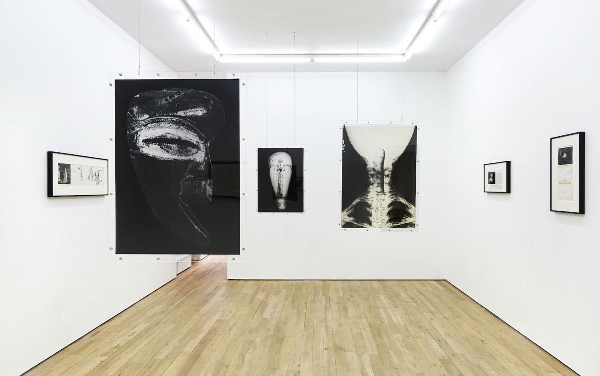 Amanda Wilkinson Gallery | Ocula