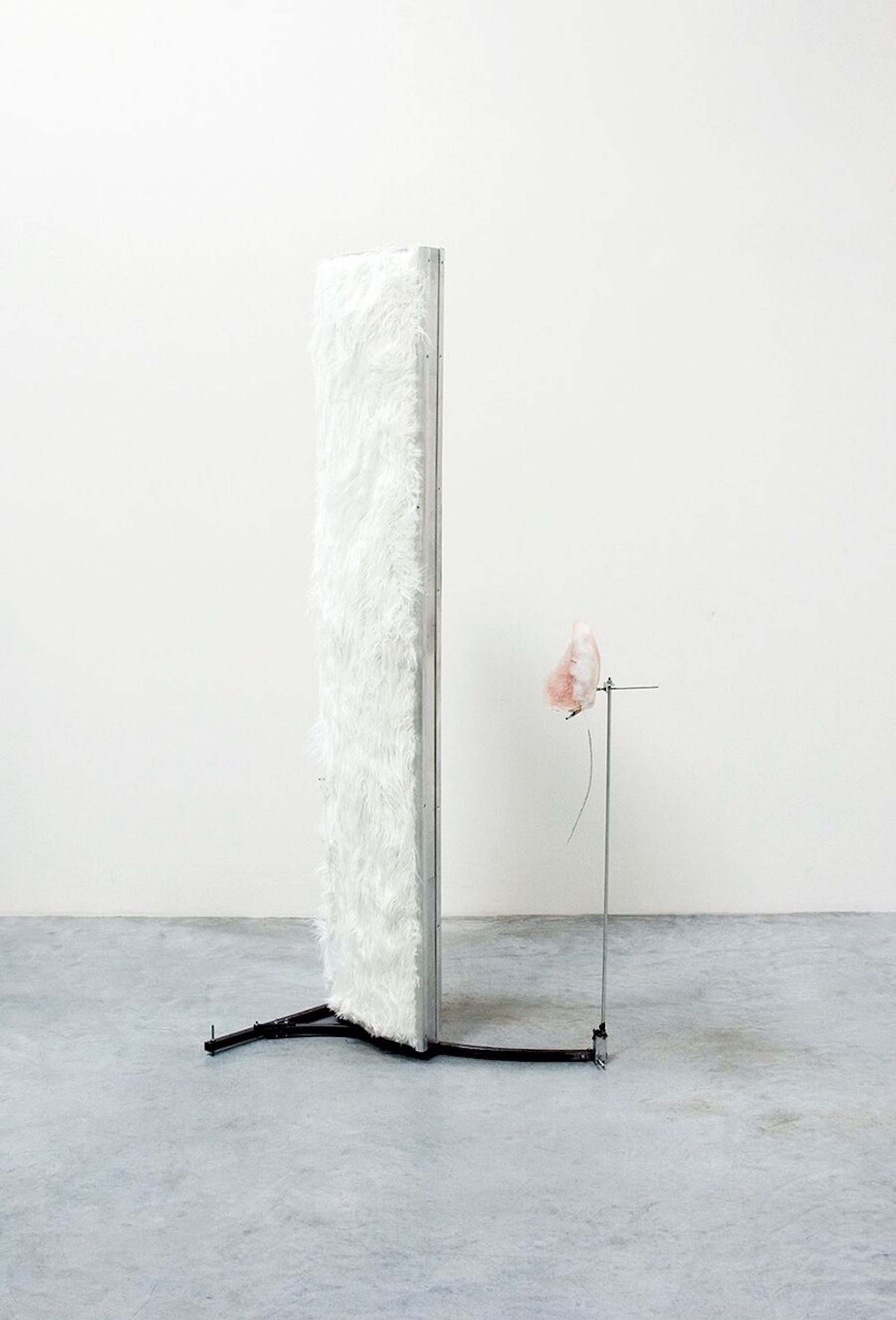 Introduction Shuttle, 2007 by Nobuko Tsuchiya | Ocula