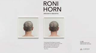 Roni Horn Biography, Artworks & Exhibitions | Ocula Artist
