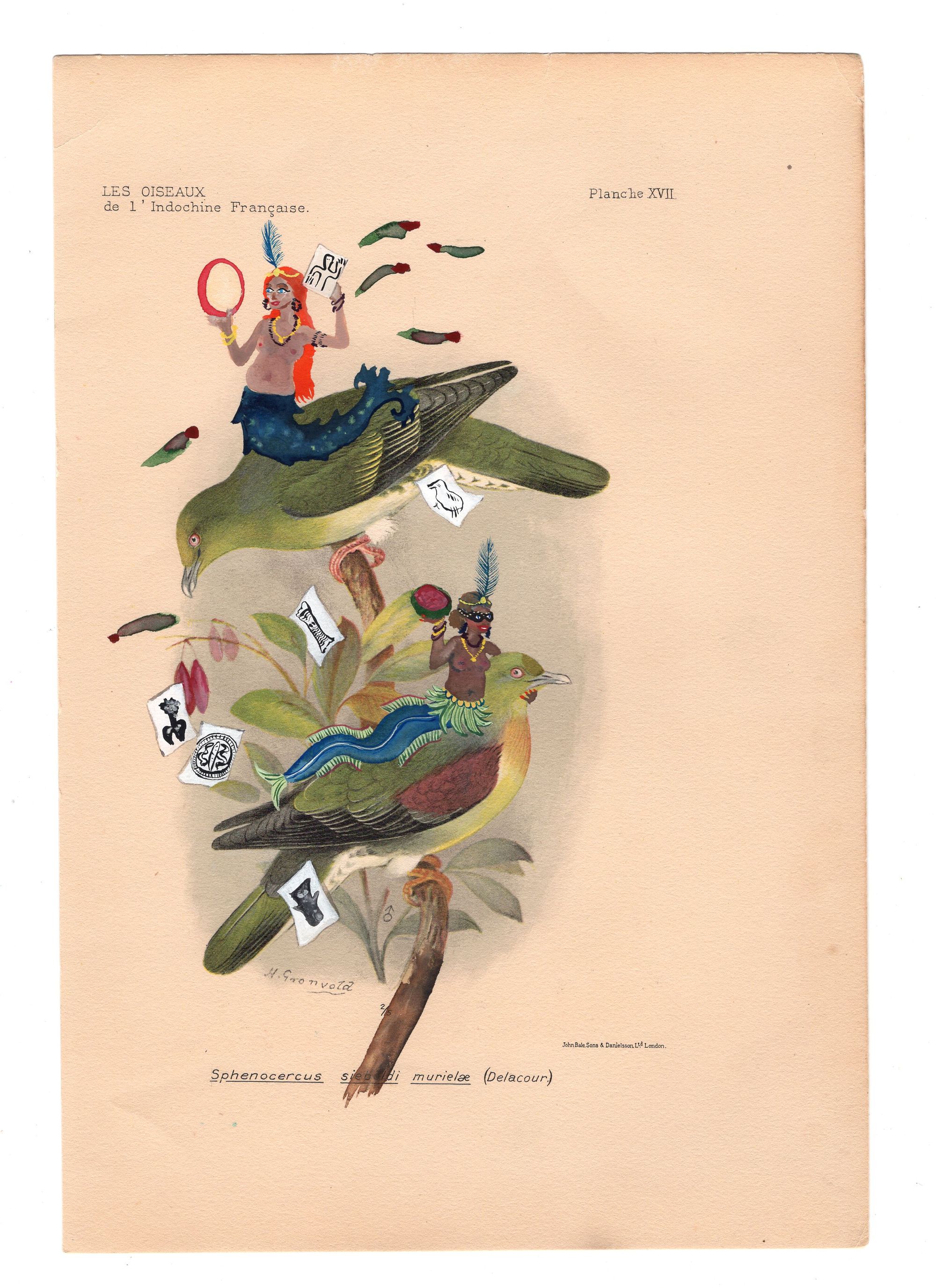 Karine Rougier Biography, Artworks & Exhibitions | Ocula Artist