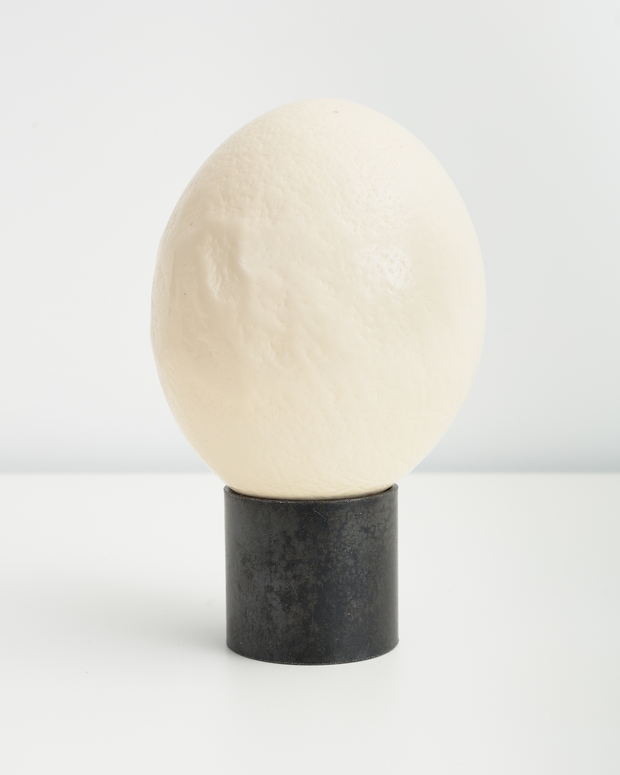 MONSTER, 2021 by Sarah Ortmeyer | Ocula