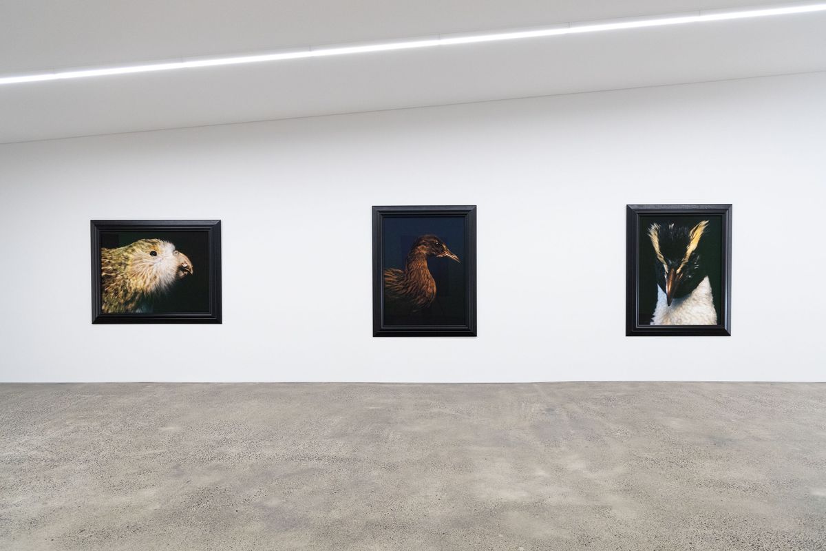 Fiona Pardington, 'Te taha o te rangi' at Starkwhite, Auckland, New ...