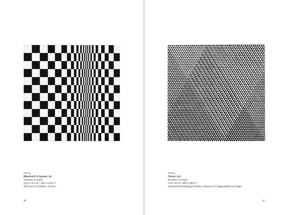 Bridget Riley Movement In Squares