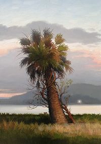 Alexander McKenzie Artworks | Ocula Artist