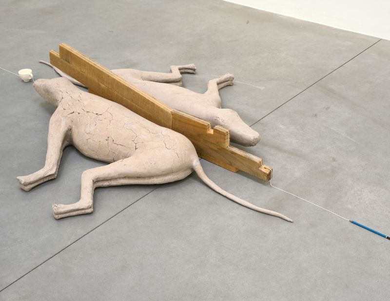 Mark Manders: 'My work is always totally silent' | Ocula