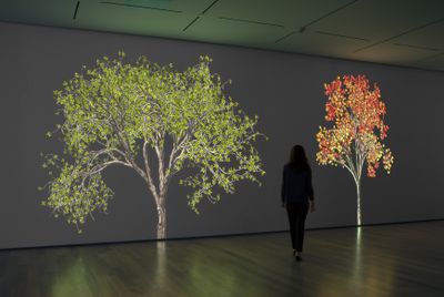 Jennifer Steinkamp Artworks | Ocula Artist