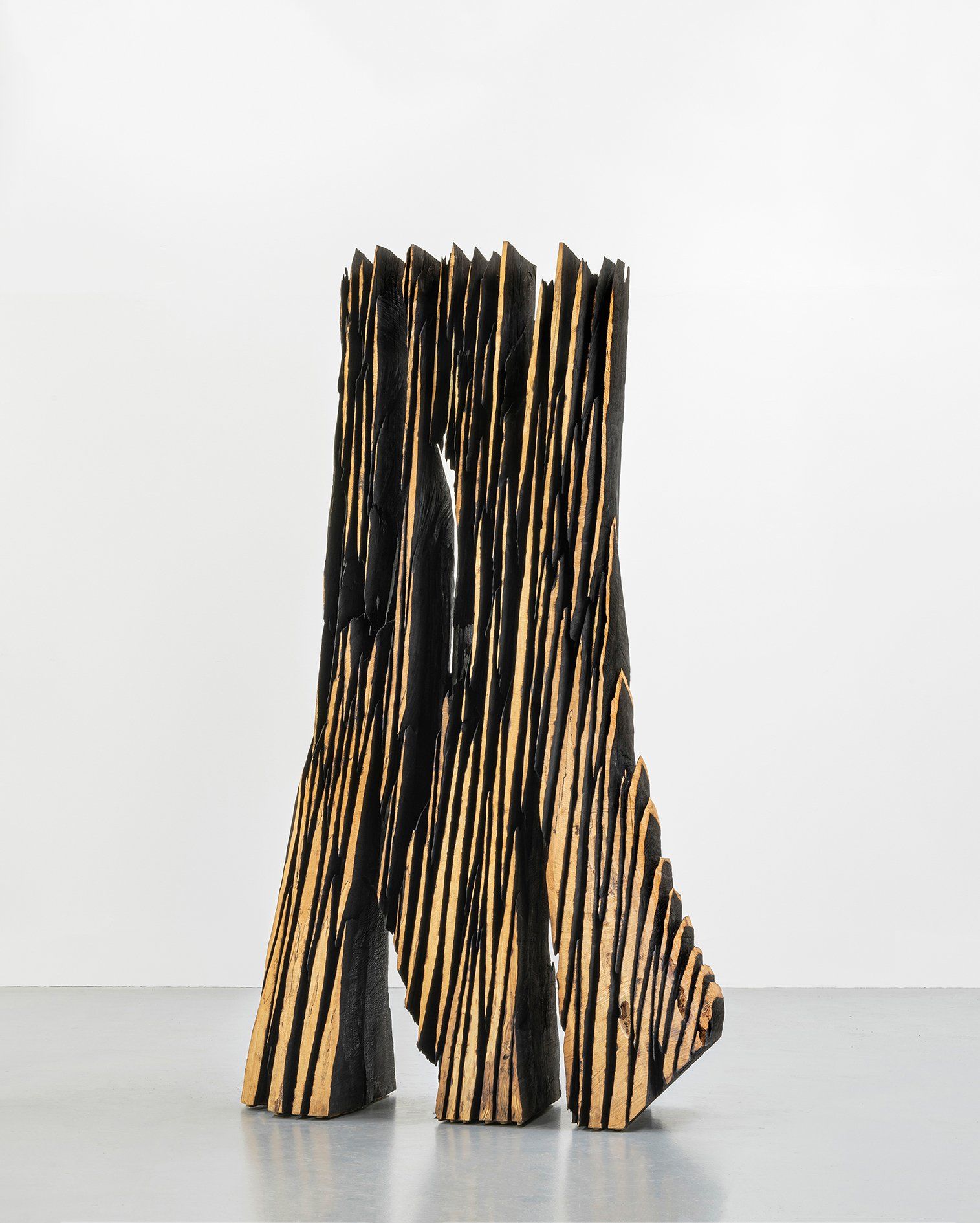 David Nash Biography, Artworks & Exhibitions | Ocula Artist