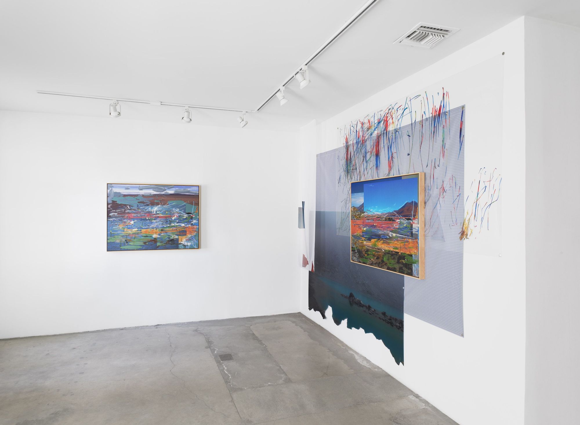 Petra Cortright, 'Predator Swamping' at 1301PE, Los Angeles, United ...