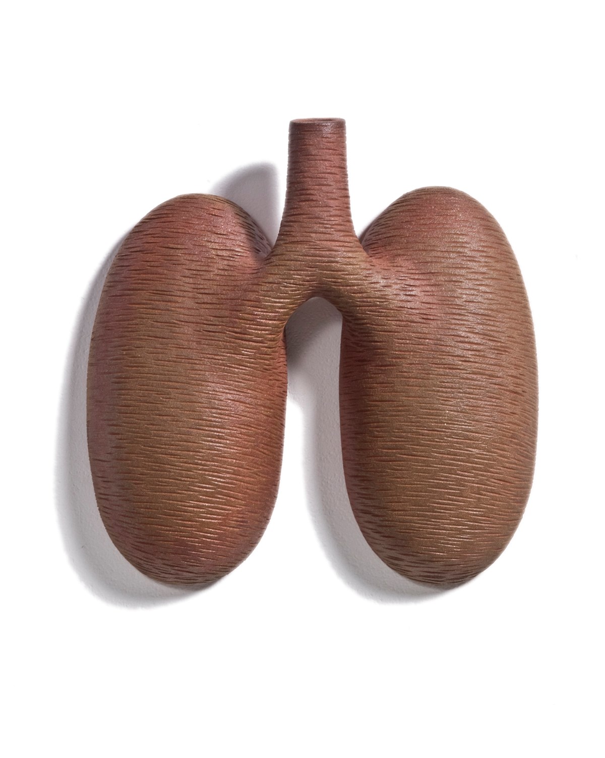 Angela Valamanesh Biography, Artworks & Exhibitions | Ocula Artist