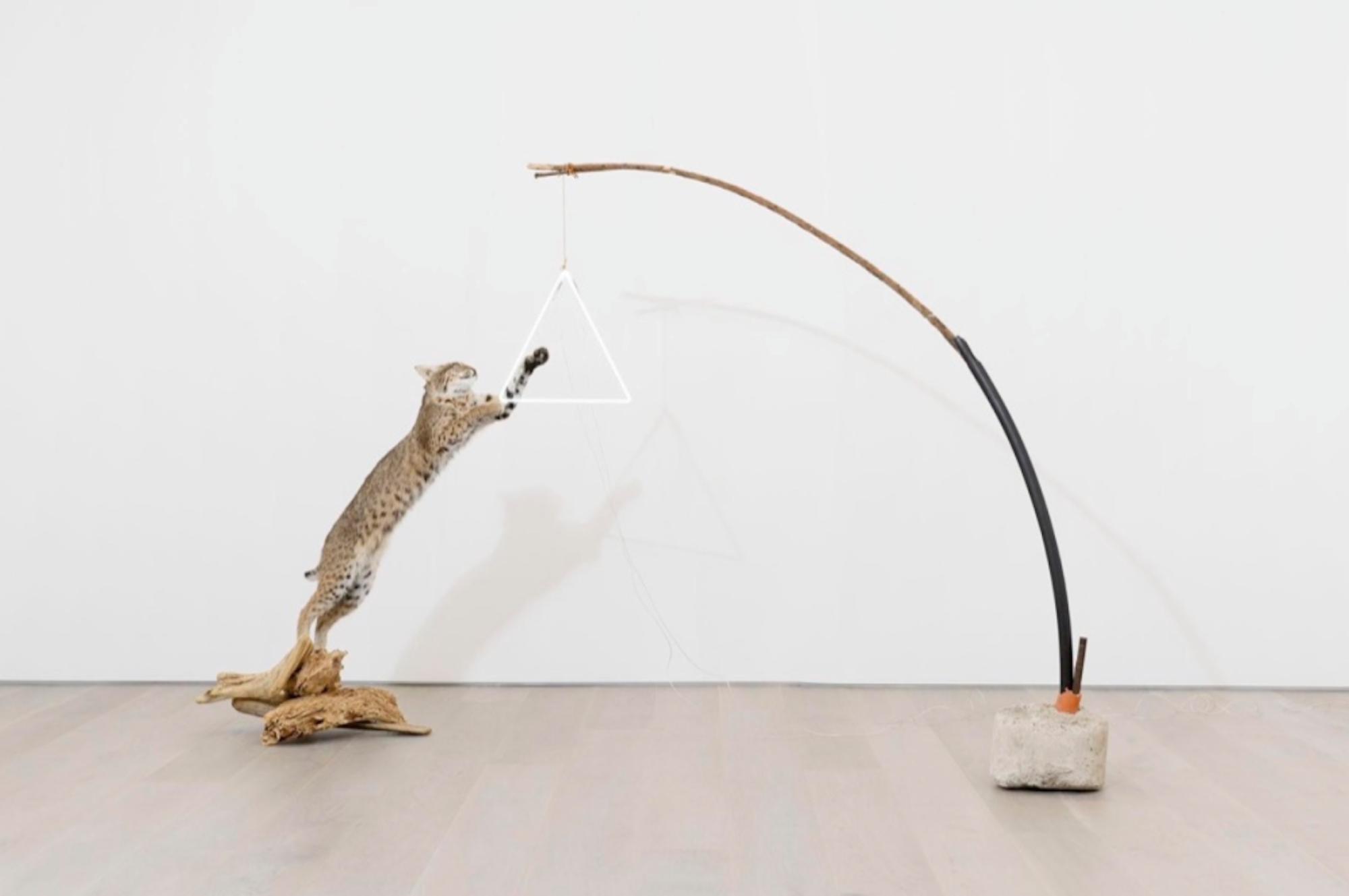 Gabriel Rico Biography, Artworks & Exhibitions | Ocula Artist