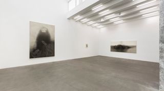 Shao Fan Biography, Artworks & Exhibitions | Ocula Artist