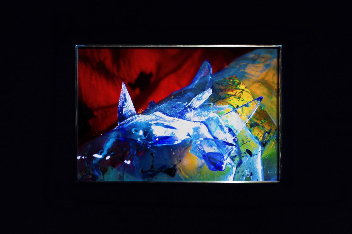 Diane Severin Nguyen's Art For Sale, Exhibitions & Biography | Ocula Artist