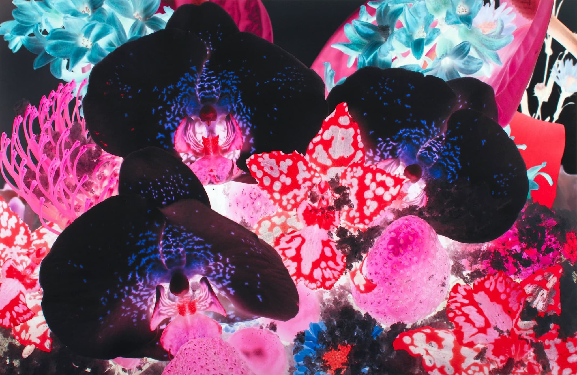 Marc Quinn Biography, Artworks & Exhibitions | Ocula Artist