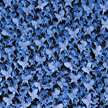 Caroline Yi Cheng's Art For Sale, Exhibitions & Biography | Ocula Artist