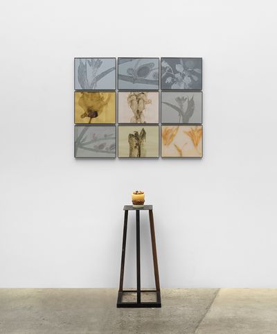 Michelle Stuart Artworks | Ocula Artist
