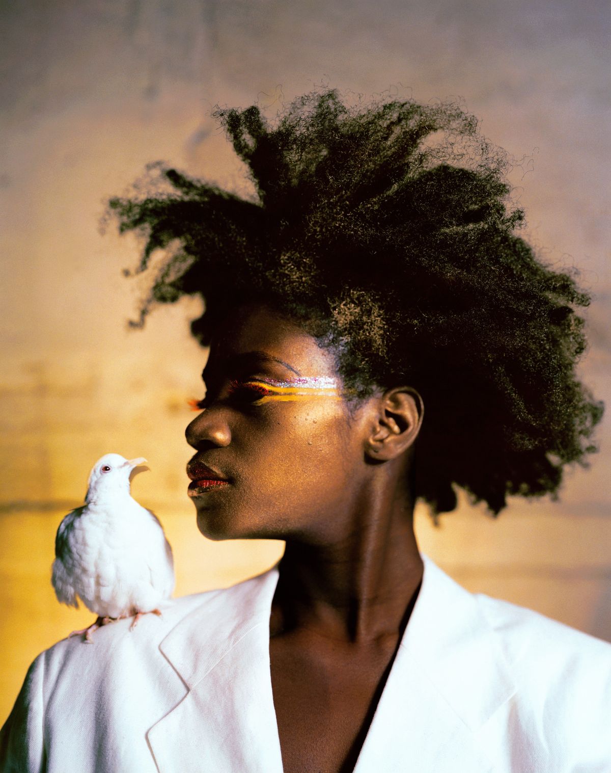 Lyle Ashton Harris' Art For Sale, Exhibitions & Biography | Ocula Artist