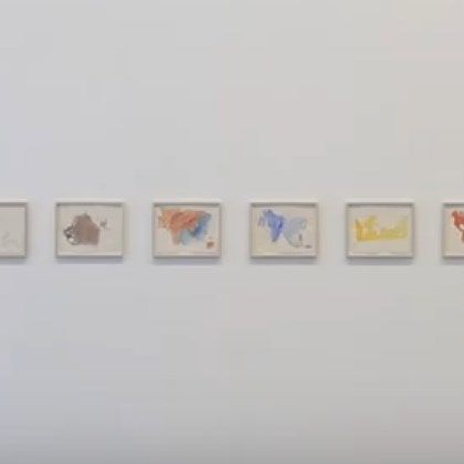 David Weiss Drawings | Related Video & Audio | Ocula