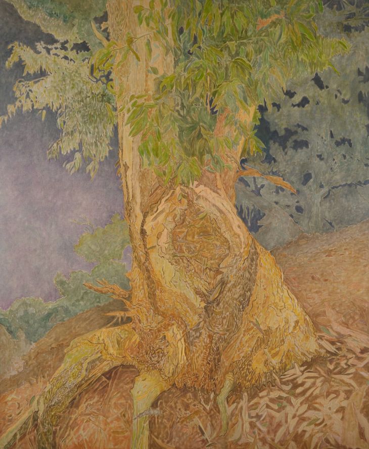 Hayley Barker Biography, Artworks & Exhibitions | Ocula Artist