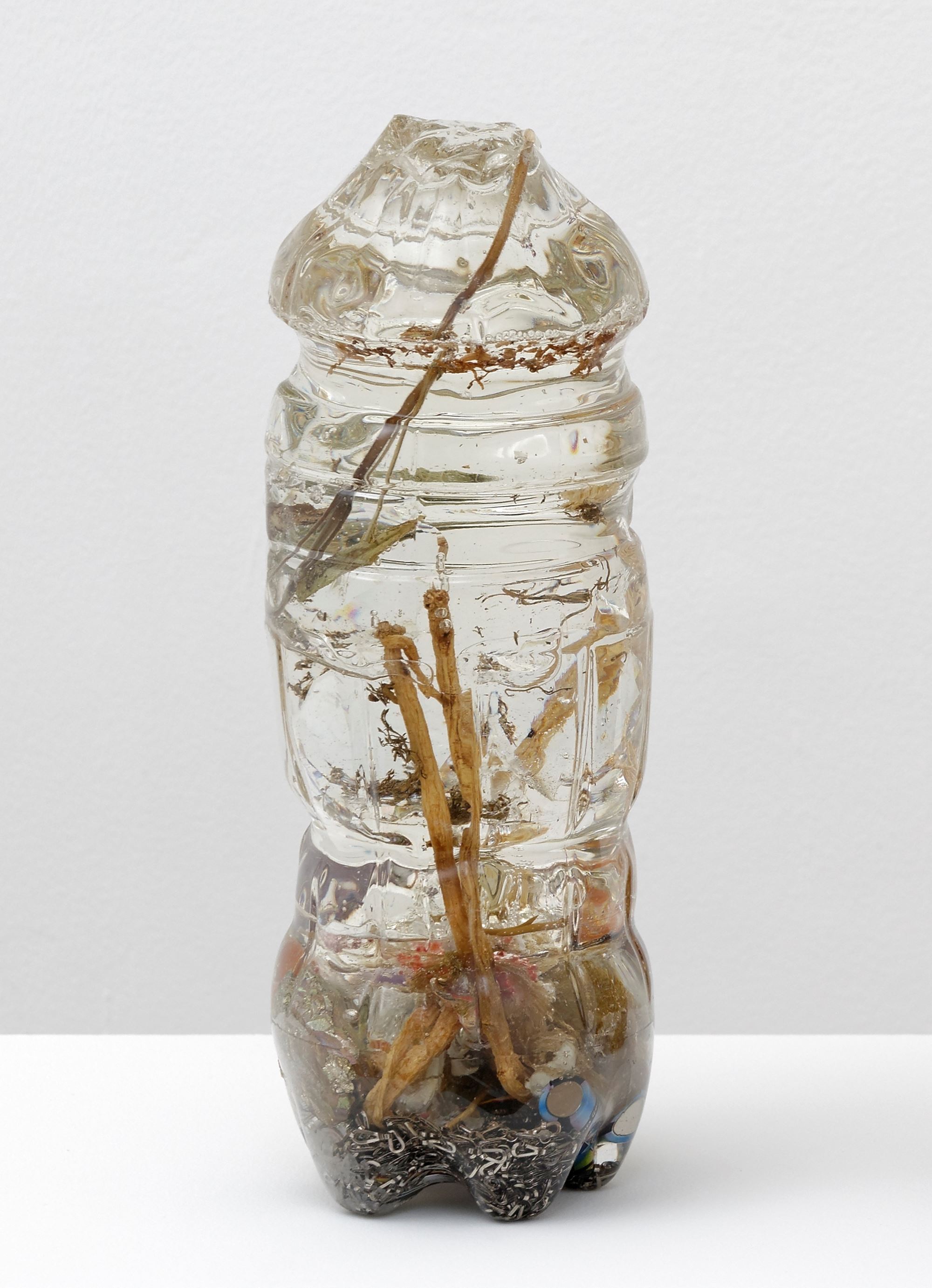 Mimosa Echard Biography, Artworks & Exhibitions | Ocula Artist