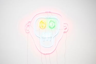 Gabriel Rico Biography, Artworks & Exhibitions | Ocula Artist