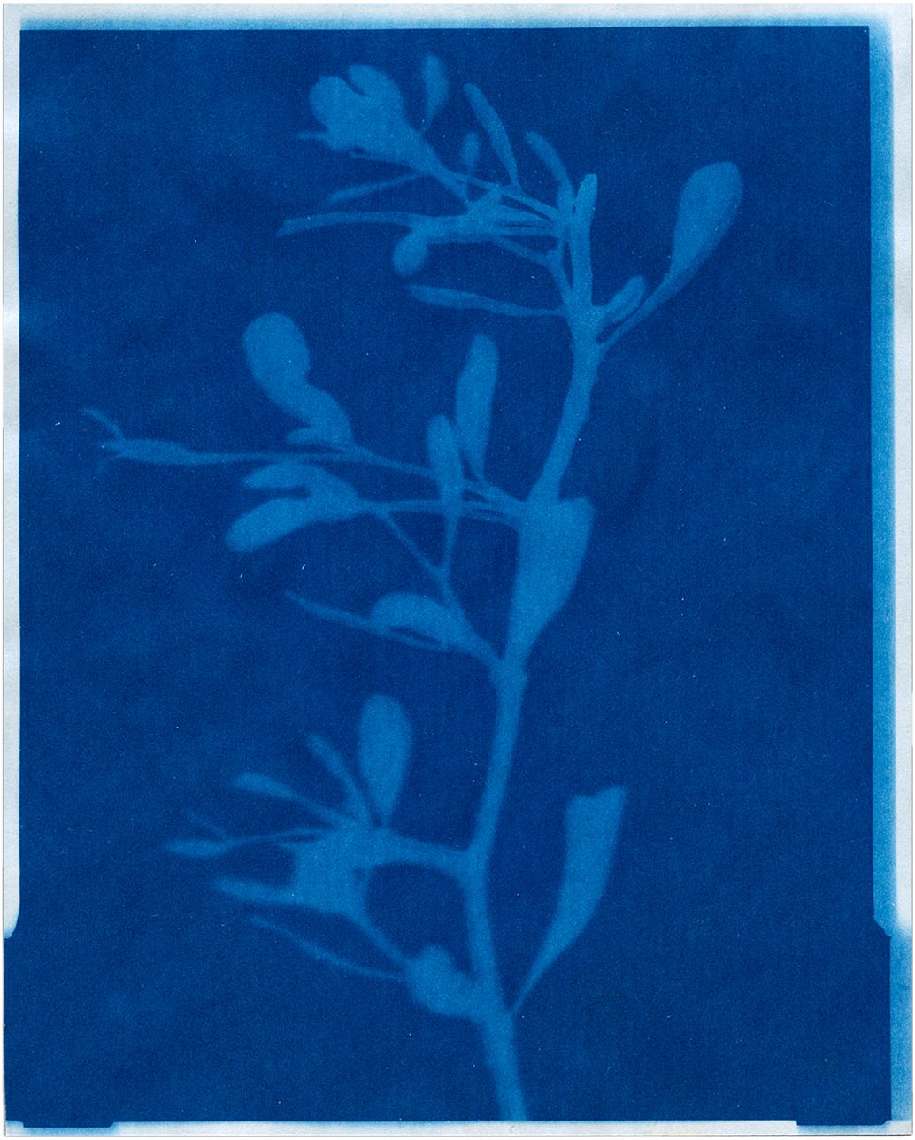 Juergen Staack's Art For Sale, Exhibitions & Biography | Ocula Artist