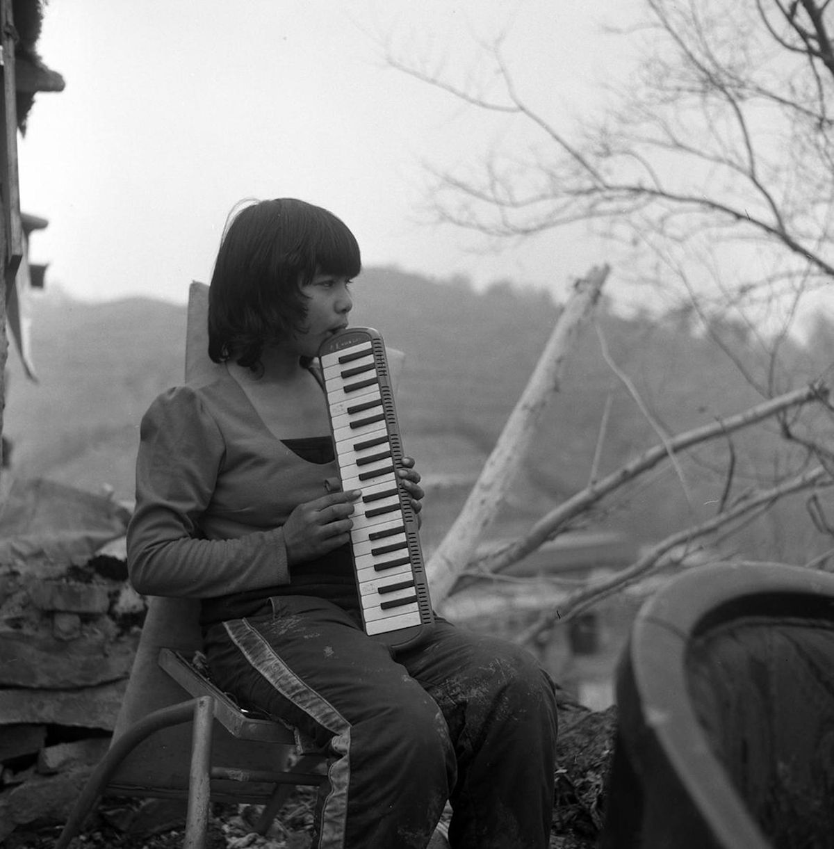 Tian Lin Biography, Artworks & Exhibitions | Ocula Artist