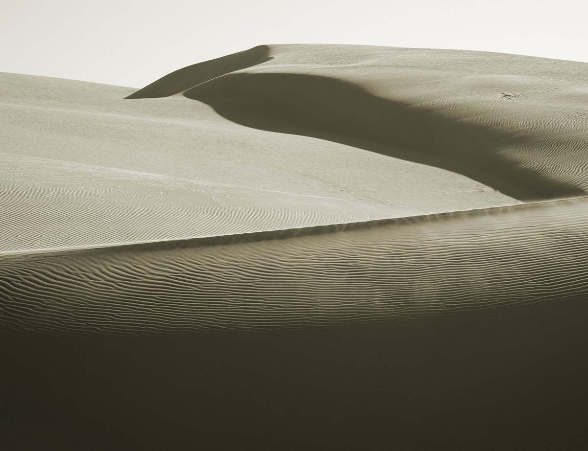 Ray Charles White Biography, Artworks & Exhibitions | Ocula Artist