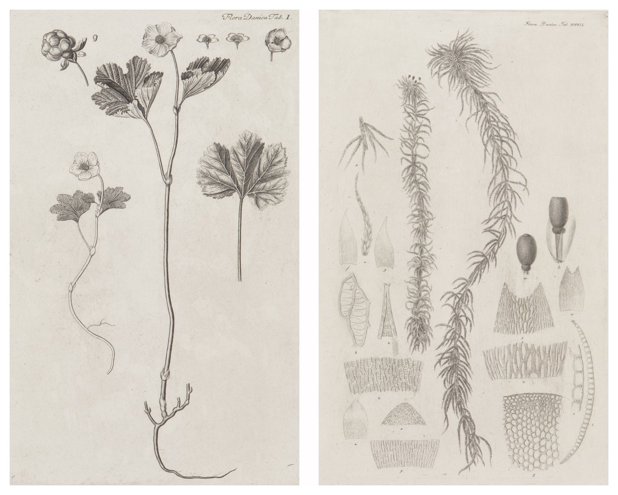 Danh Vo Biography, Artworks & Exhibitions | Ocula Artist