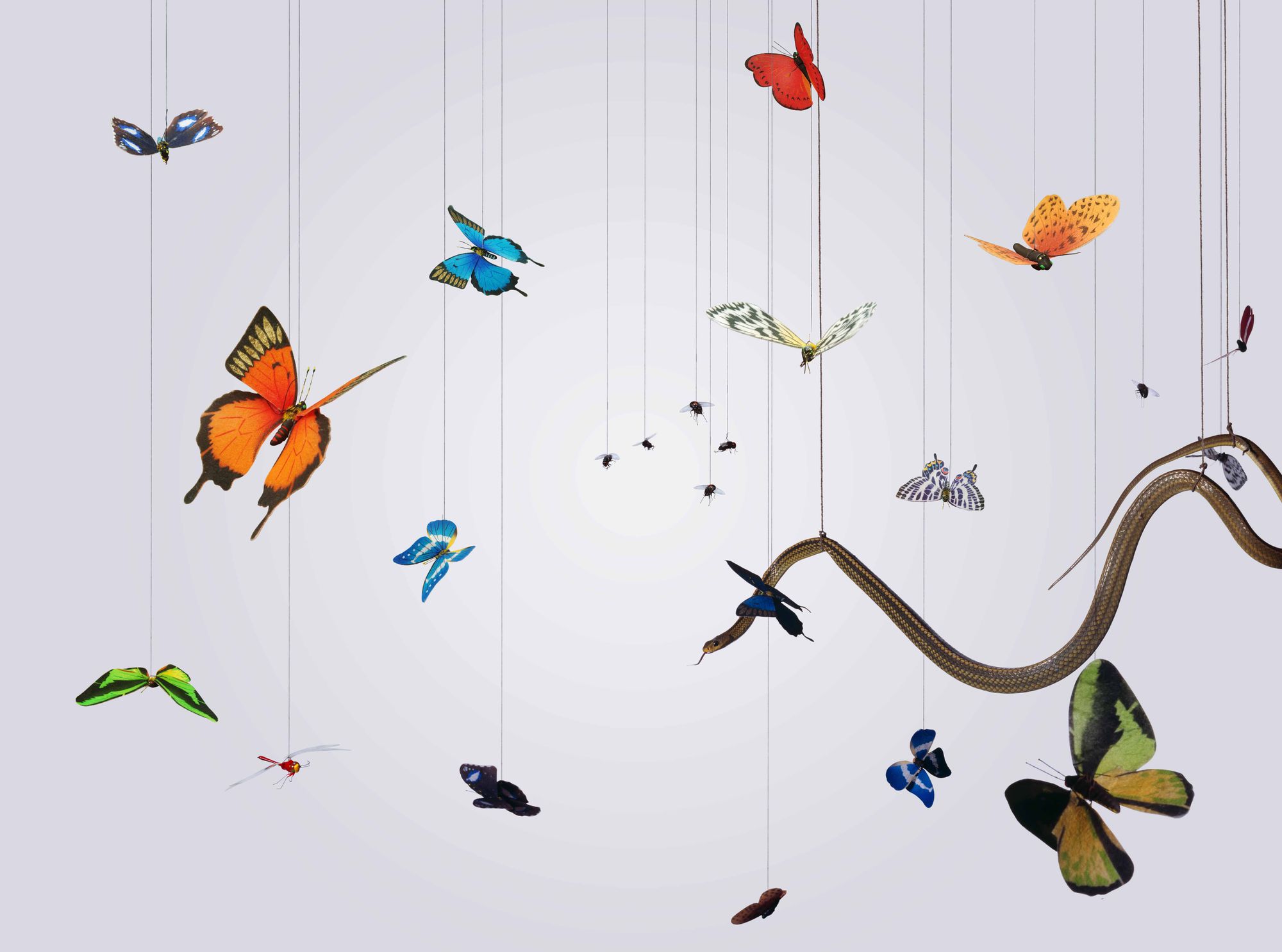 Hong Lei Biography, Artworks & Exhibitions | Ocula Artist