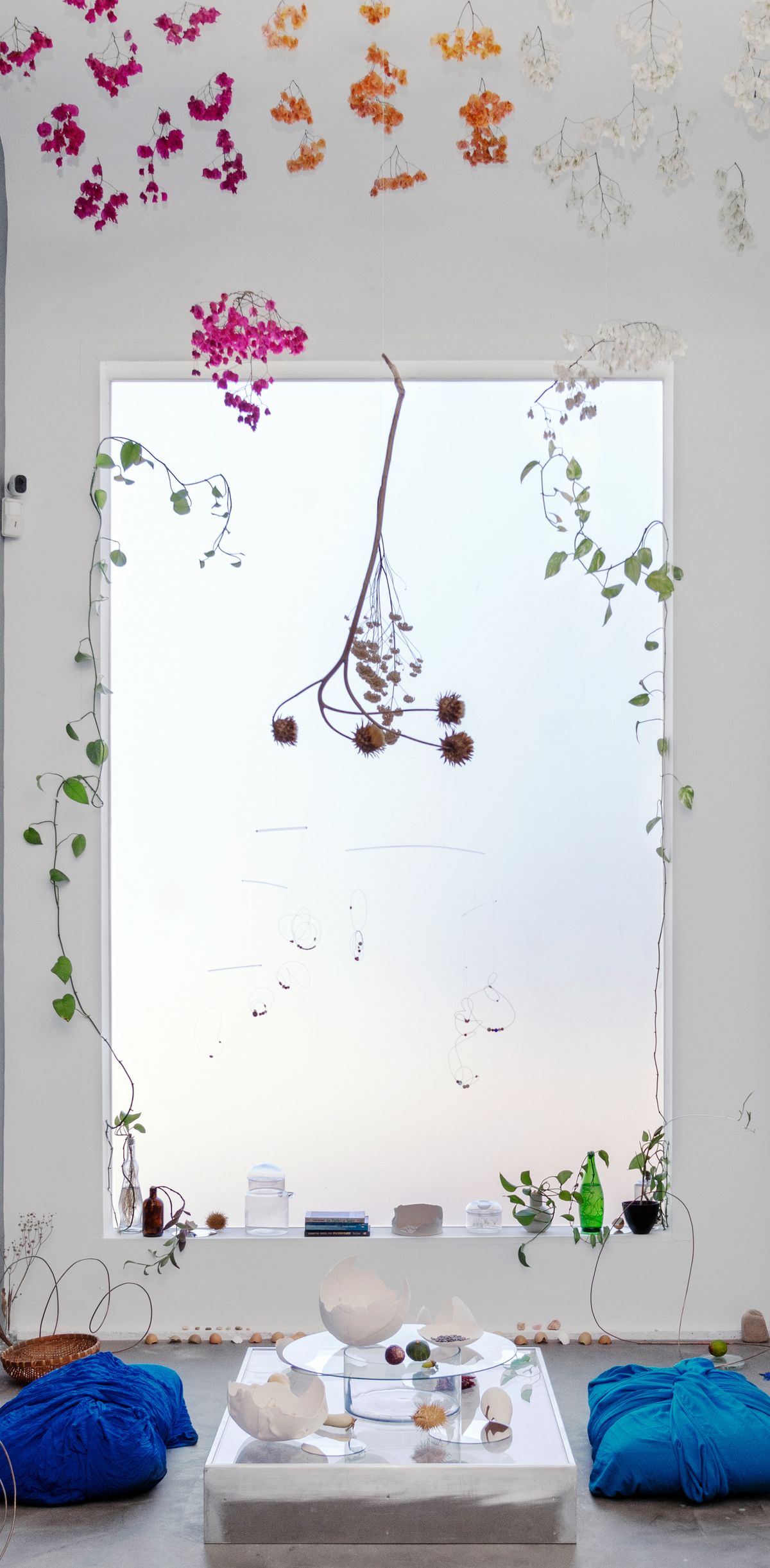 Lani Trock Biography, Artworks & Exhibitions | Ocula Artist