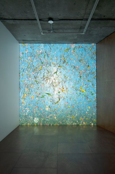 Jennifer Steinkamp Artworks | Ocula Artist