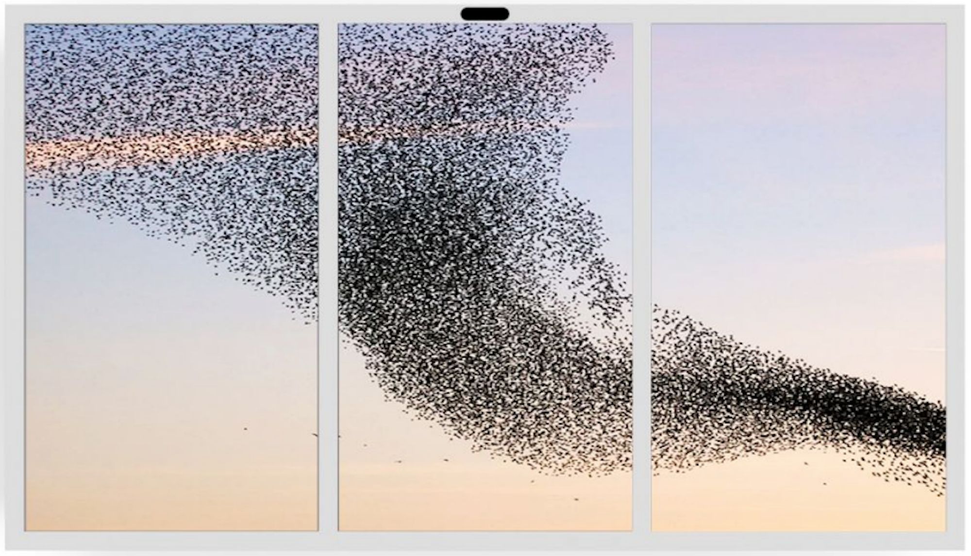 Coded Nature 1, 2022 by DRIFT | Ocula