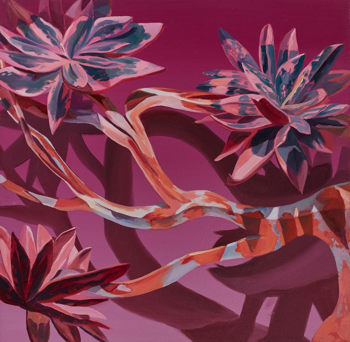 Rachel Macfarlane's Art For Sale, Exhibitions & Biography | Ocula Artist