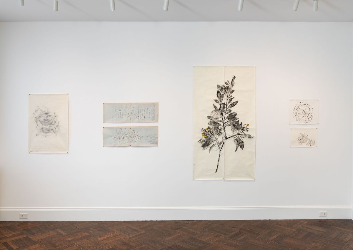 Simryn Gill, 'Caresses' at Richard Saltoun Gallery, New York, United ...