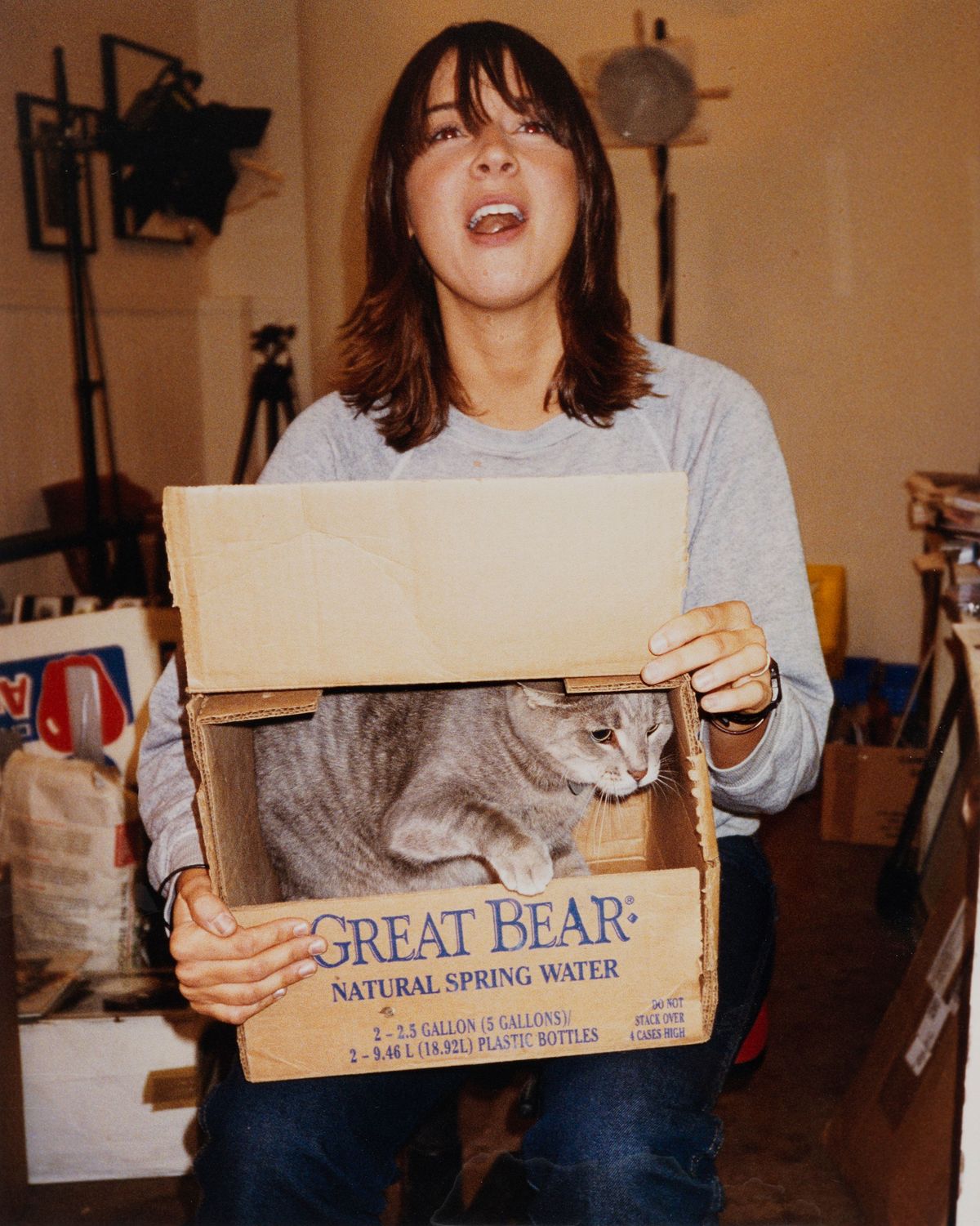 Dan Graham, Chan Marshall (Cat Power) Artworks | Ocula Artist