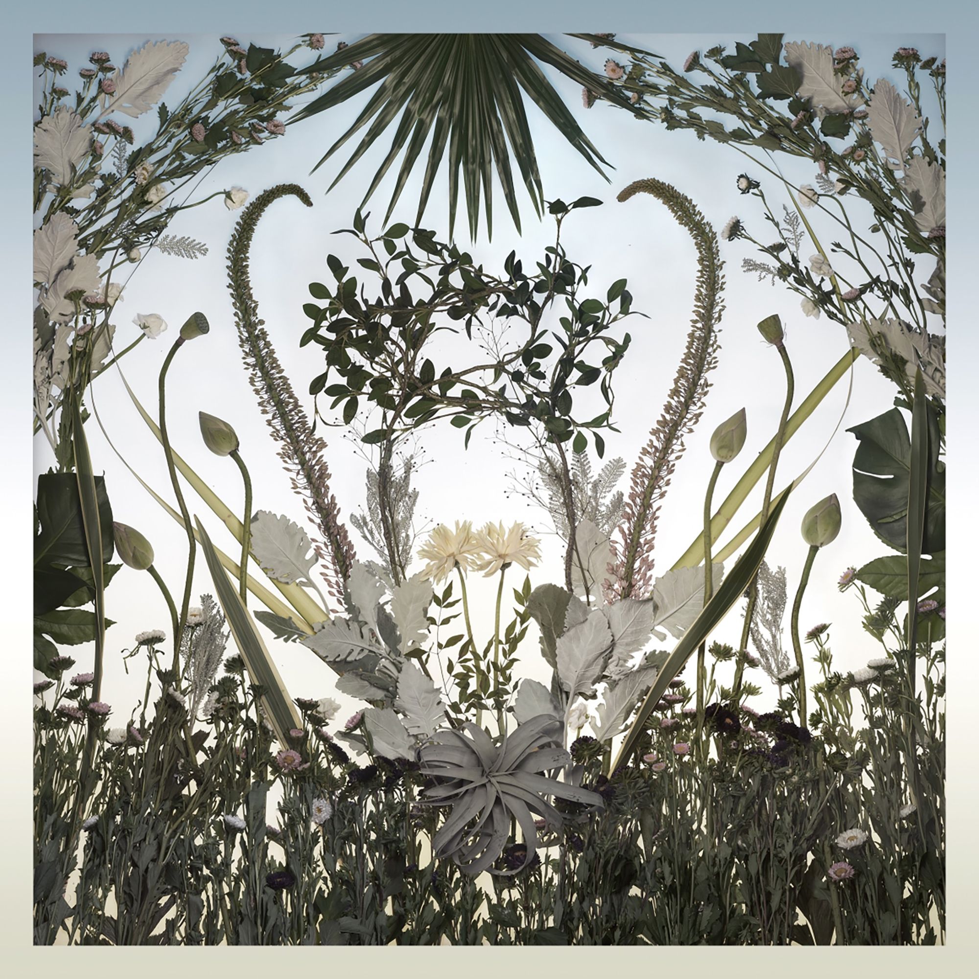 Eli Klein Gallery | Ocula