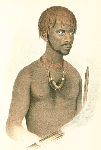 Thomas Bock's Art For Sale, Exhibitions & Biography | Ocula Artist