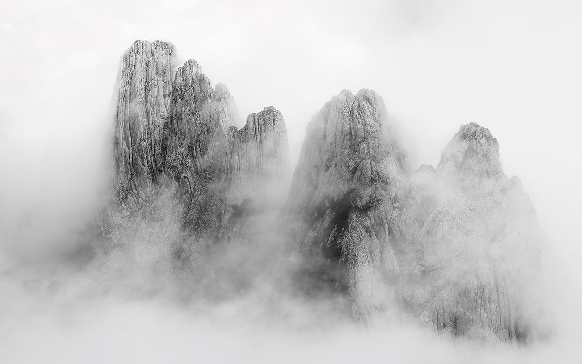 Peter Mathis, 'Flora Alpina' at Galerie Albrecht, Berlin, Germany on 27 ...